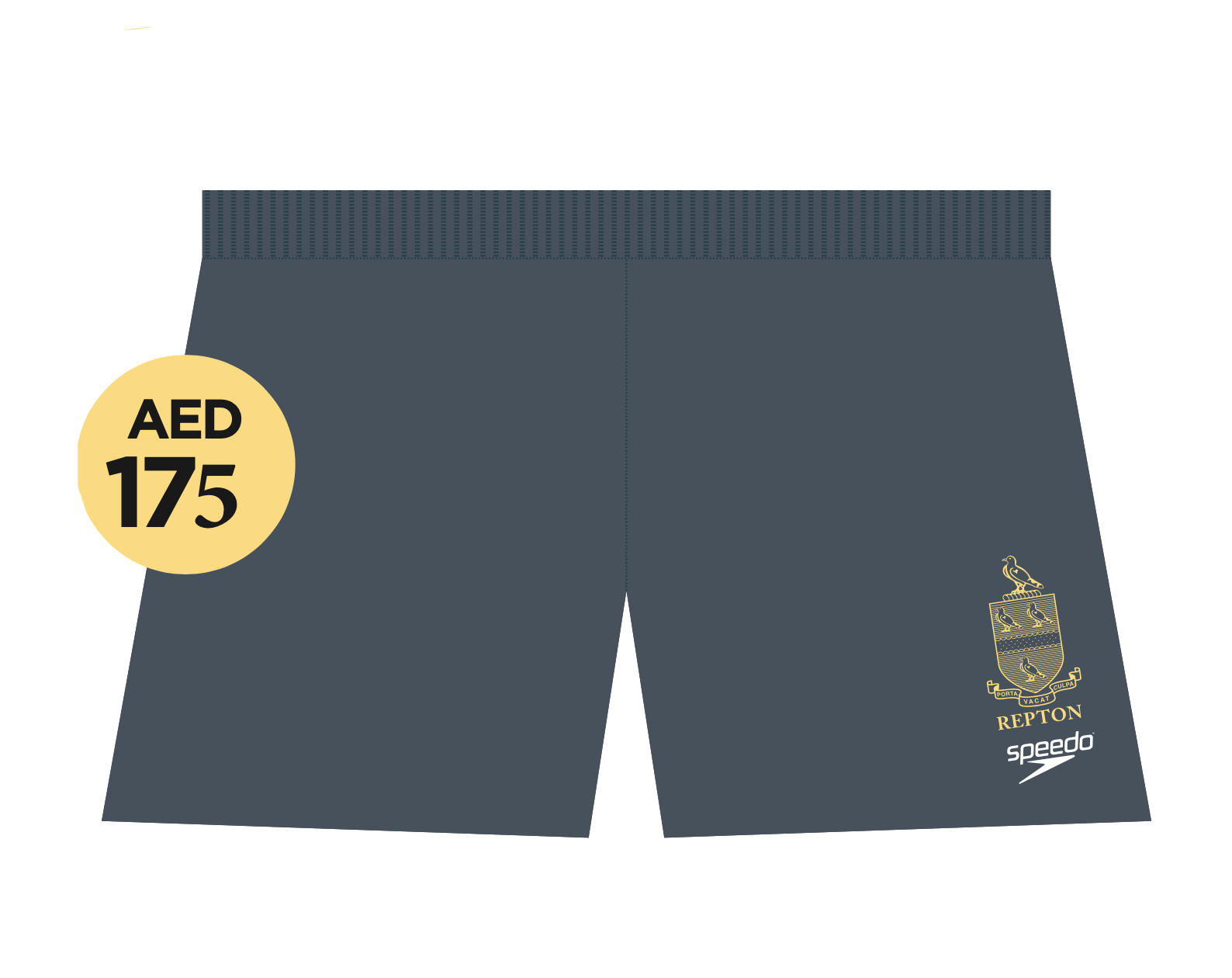 SPEEDO JUNIOR-WATER SHORT – Repton Uniform